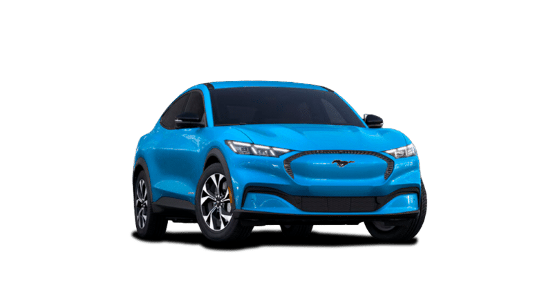 Ford Showroom - Nelson Ford